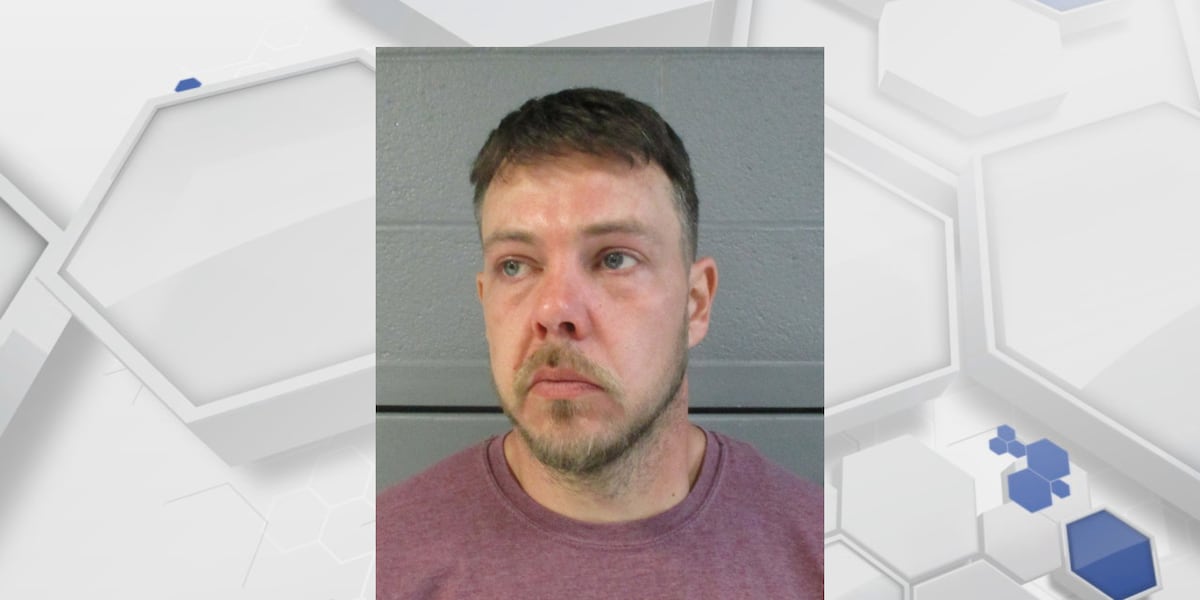 Man arrested after shooting at cats in his yard Man arrested after shooting at cats in his yard